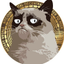 GrumpyCat (GRUM) live coin price, charts, markets & liquidity